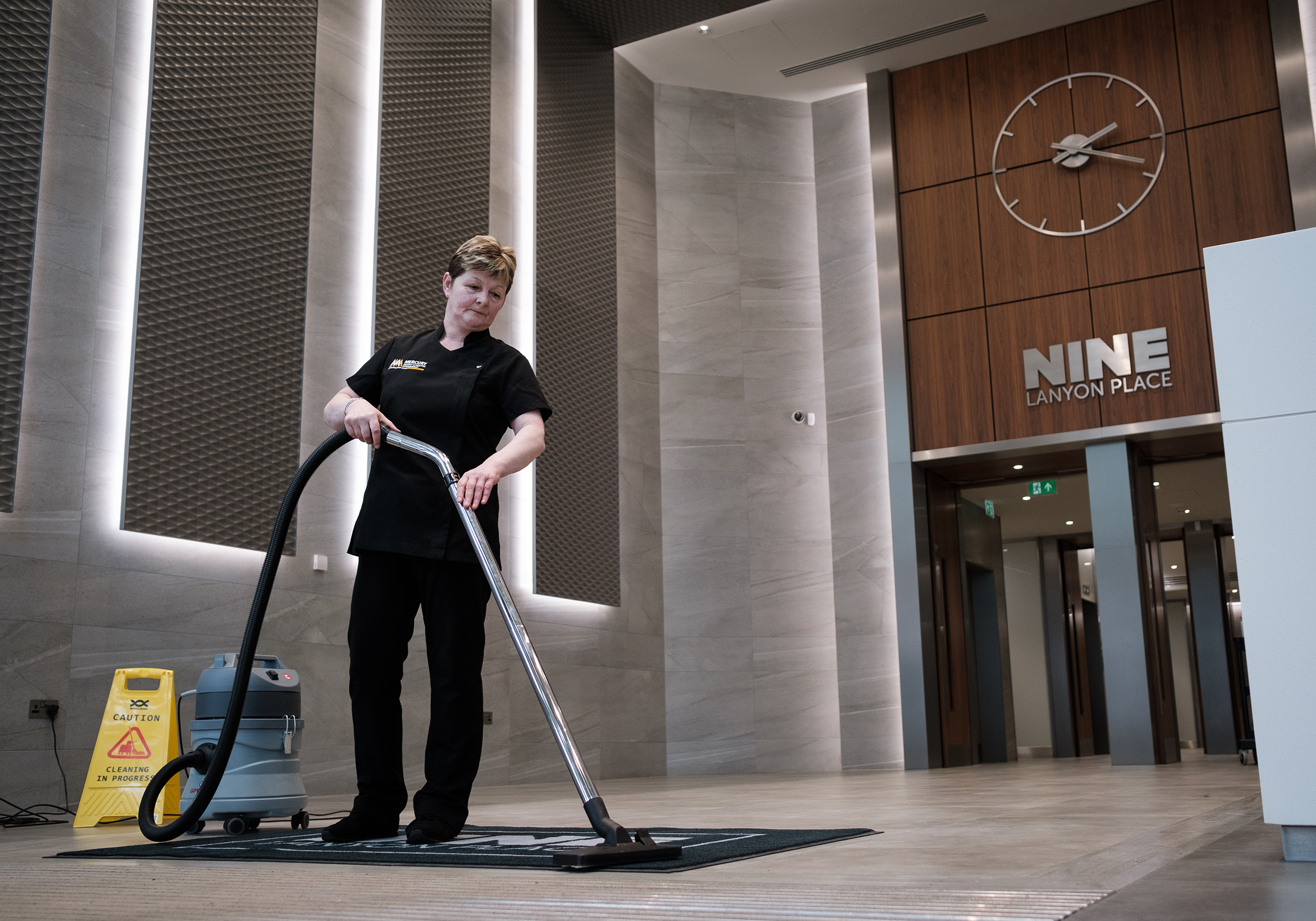 Government - Mercury Security and Facilities Management